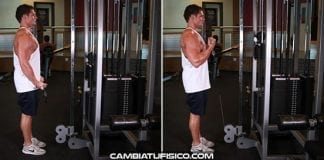 Curl en polea de pie | Tensión Constante para tus Bíceps