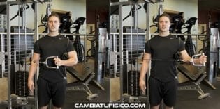 Ejercicios y Entrenamiento del Rotador del Hombro