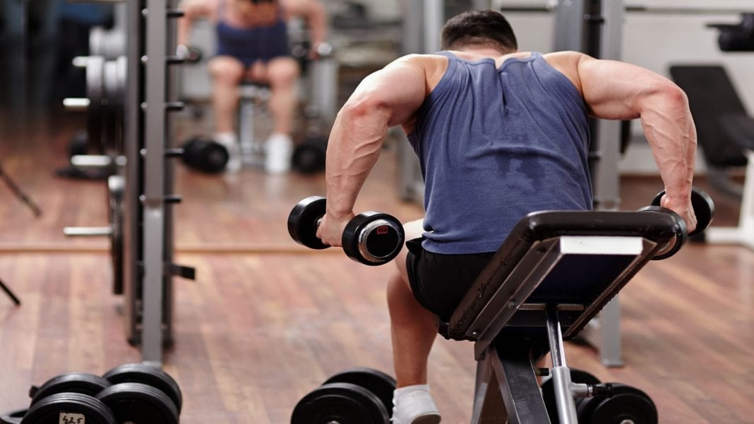 Como entrenar el deltoides posterior | Rutina y Consejos