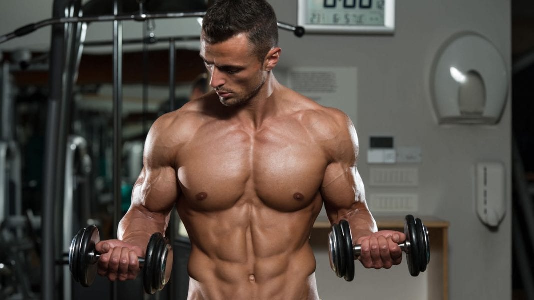 Ejercicios de Bíceps | Selección 2025, efectividad máxima