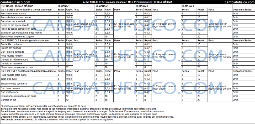Tabla de entrenamiento de Volumen y Masa Muscular con dietas